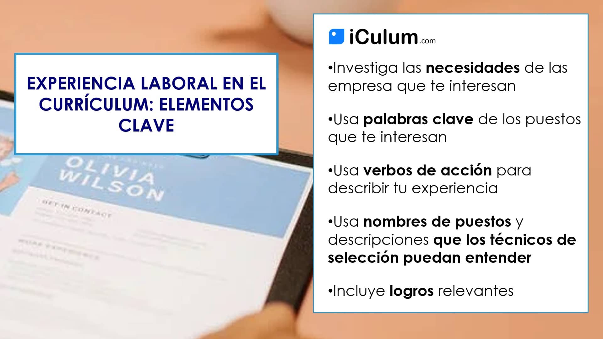 Por qué es importante tener experiencia laboral: Claves |【BahiayVallarta】