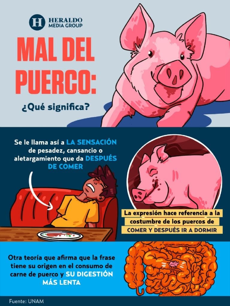 Qué significa el mal del puerco: Causas y efectos |【BahiayVallarta】